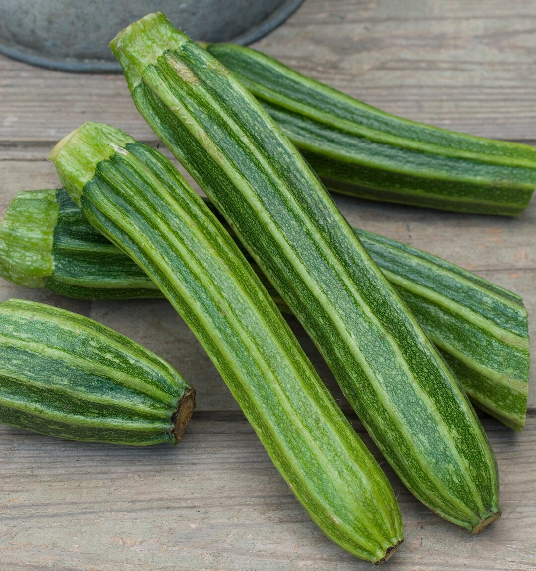 10 Romanesco Courgette Seeds - Heirloom - Etsy UK