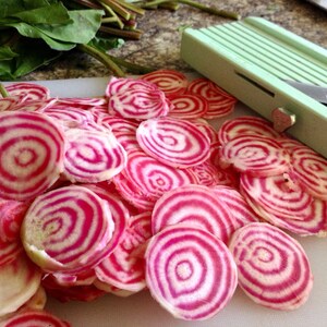 25 Italian Chioggia "candy Stripe" Beetroot Seeds - Etsy UK