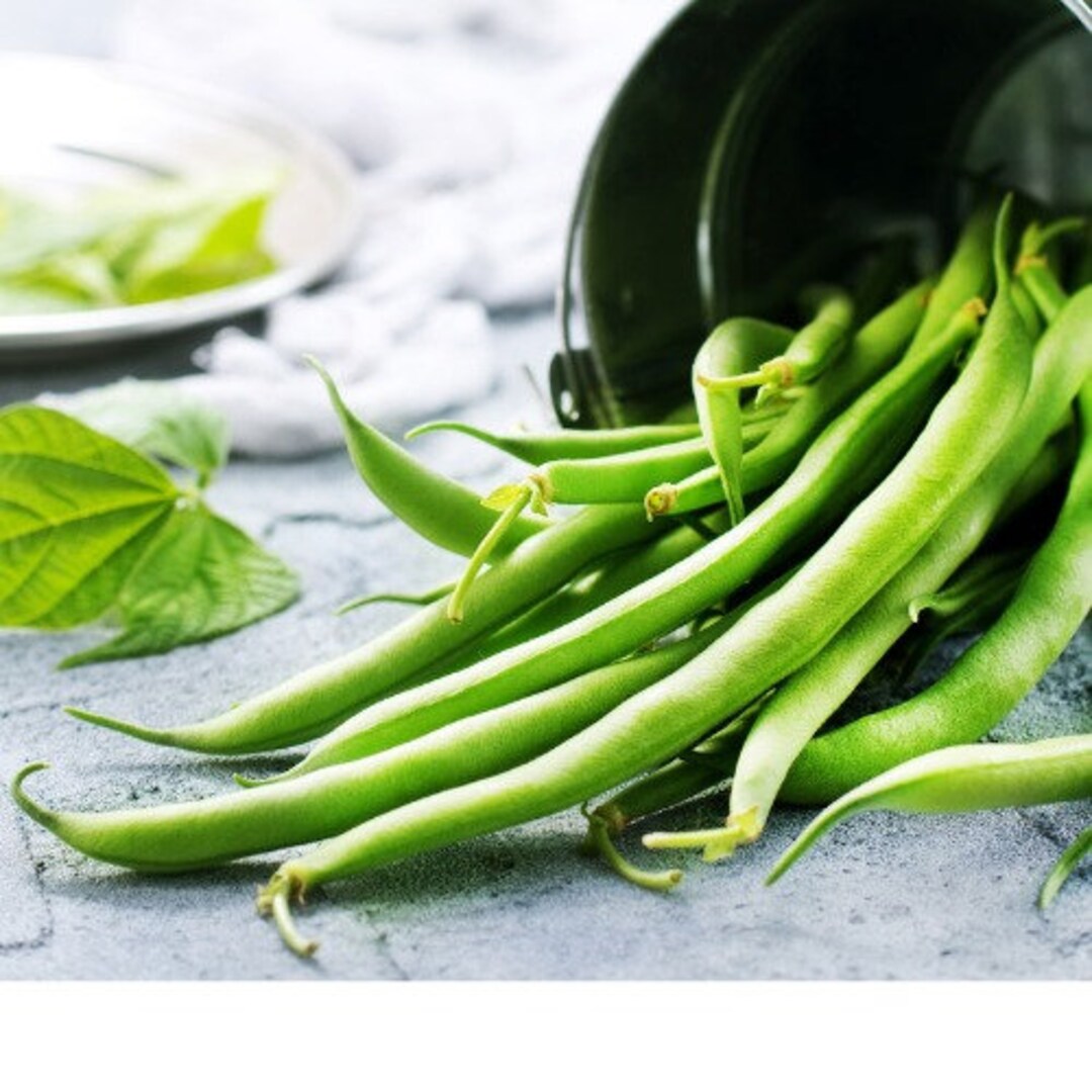 15 Cobra French Climbing Beans - Award Winner - Etsy UK