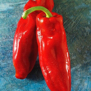 15 Marconi Red Sweet Pepper Seeds - Etsy UK