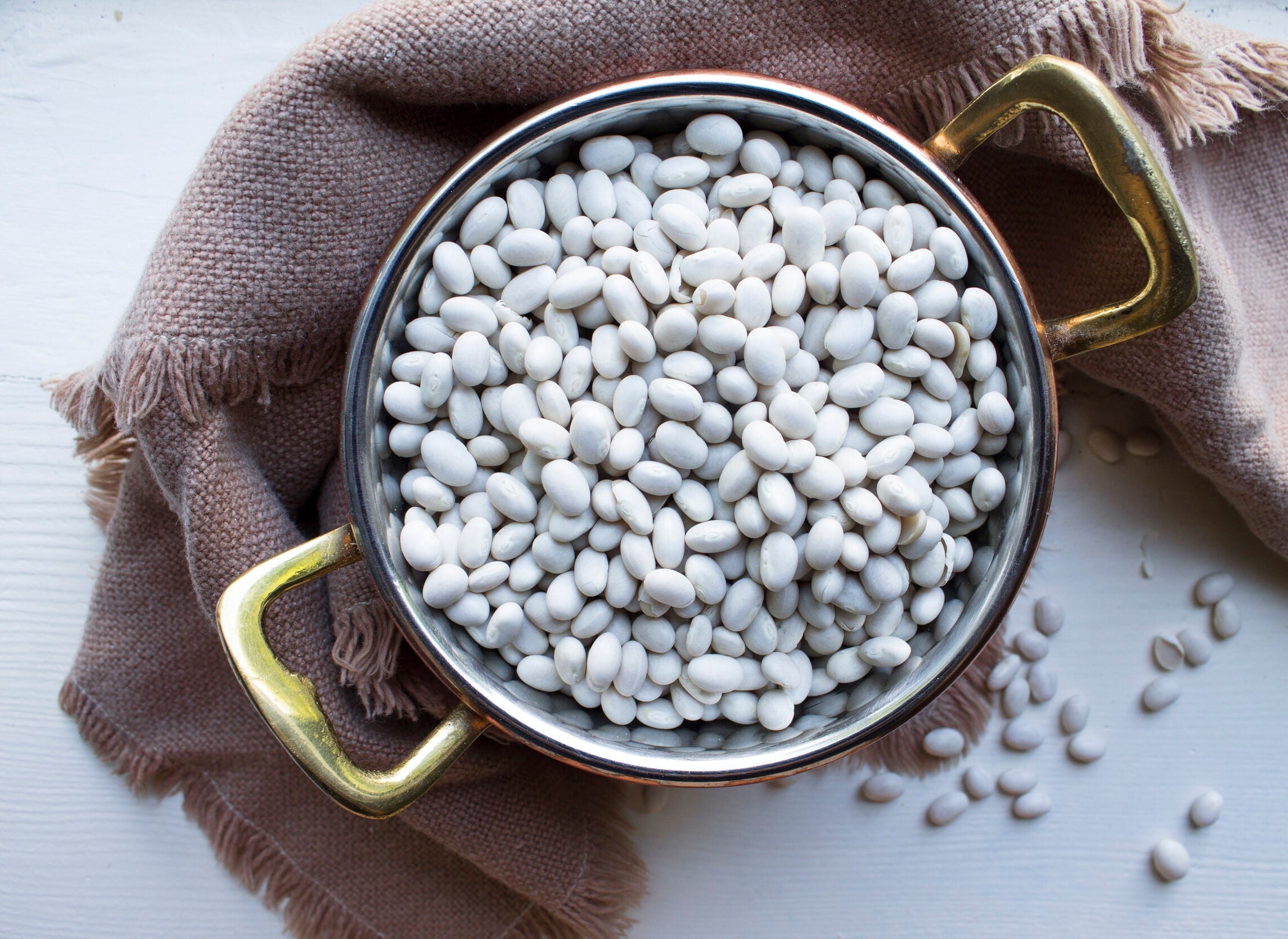 15 Haricot Beans aka Navy & Northern Bean Seeds Dwarf 2 - Etsy UK