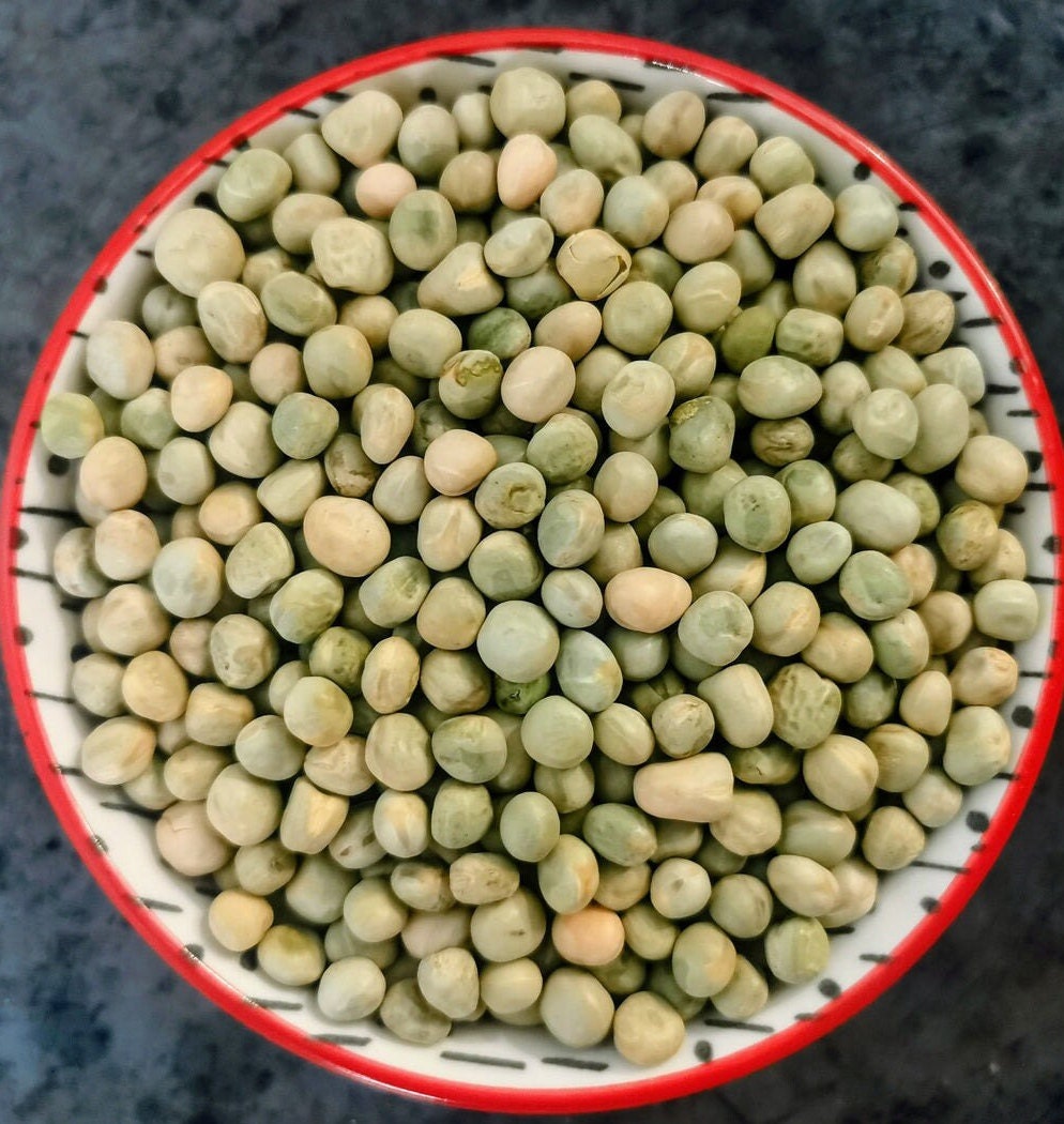 15 Onward Pea (marrowfat) Peas - Exhibition Mushy Pea Variety - Etsy UK