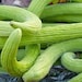 15 Armenian Yard Long Cucumber Seeds - Etsy UK