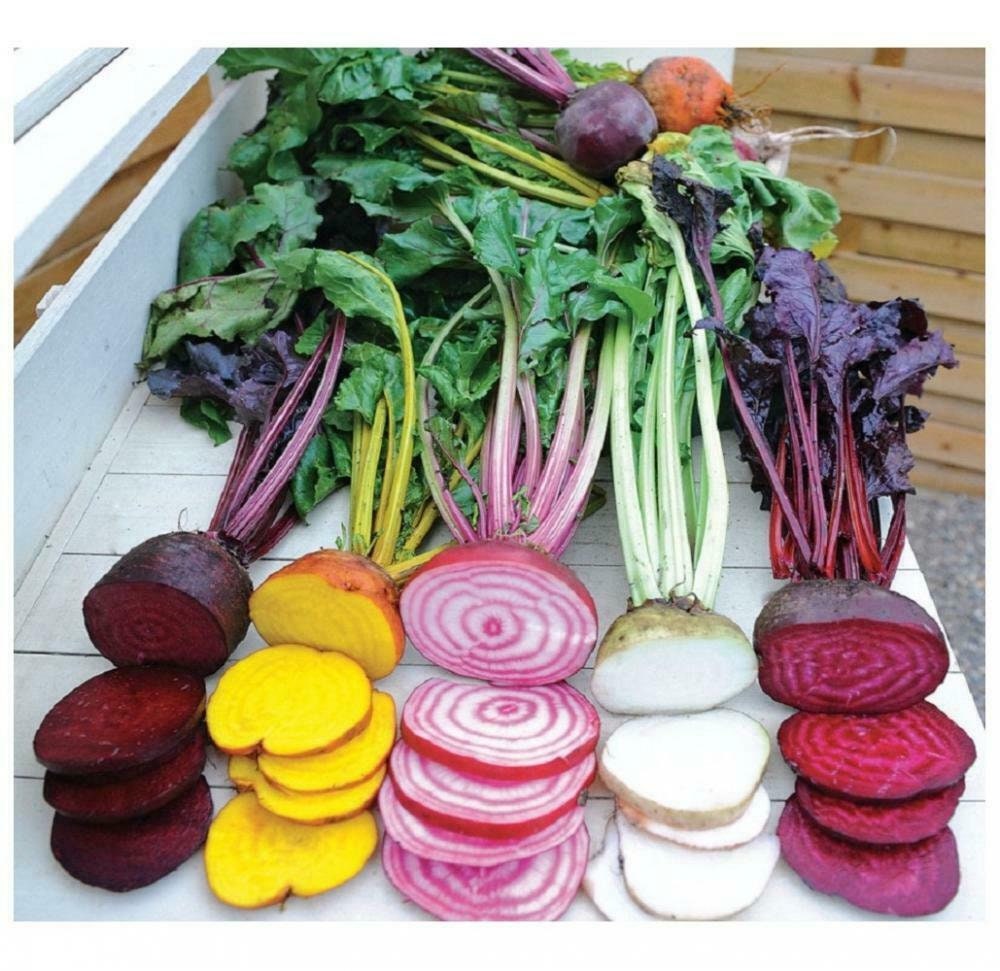5 Different Packs of Rainbow Seeds, Rainbow Carrots, Bell Peppers ...