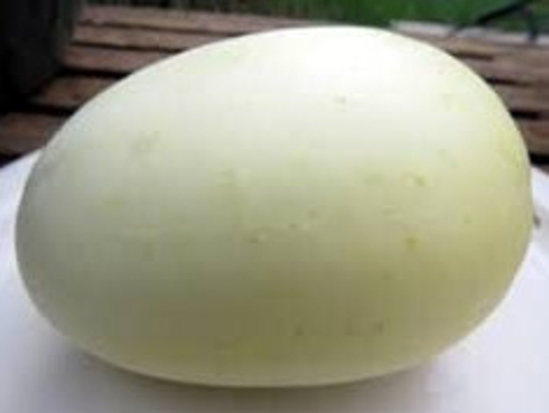 10 Dragon Egg Cucumber Seeds - Etsy UK