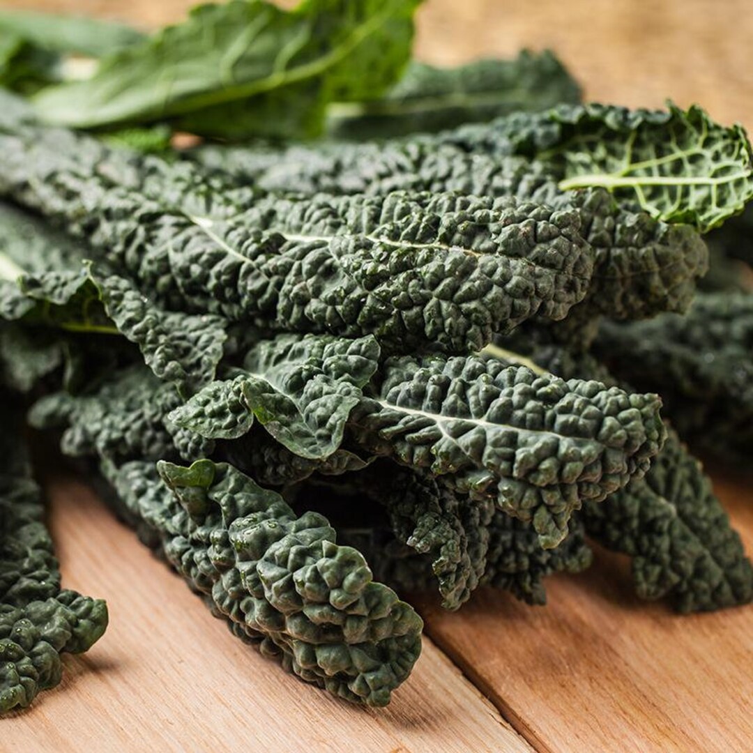 50 Black Tuscan Kale Seeds - Winter Hardy to -15C - Etsy UK