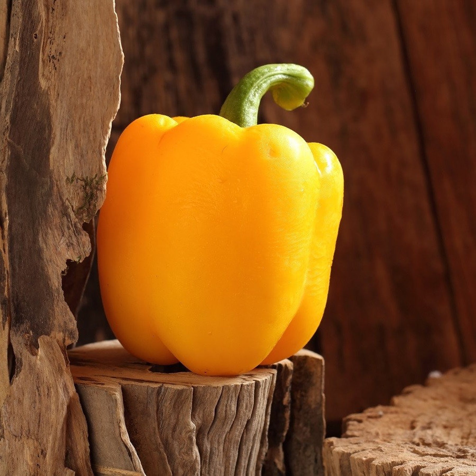25 Golden California Wonder Bell Pepper Seeds - Etsy UK
