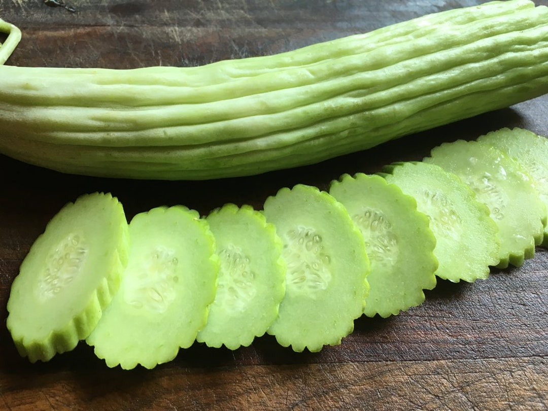 15 Armenian Yard Long Cucumber Seeds - Etsy UK