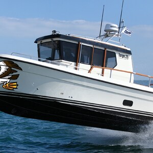 Pelican boat face Kayak Vinyl Decal Canoe Pelican Stickers | Etsy