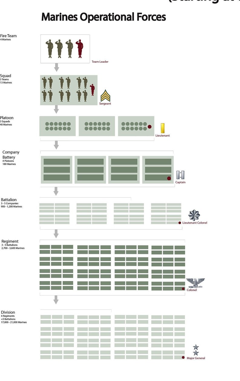 Military Structural Hierarchy Reference Chart - Digital File - Digital ...