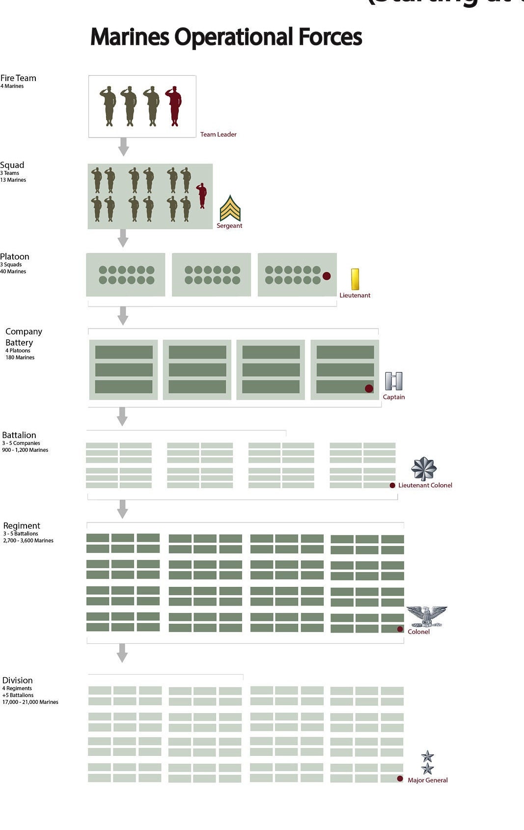 Military Team Structure