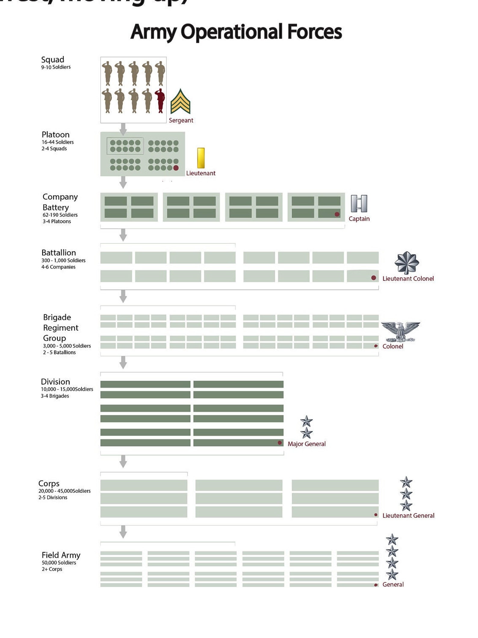 Military Structural Hierarchy Reference Chart Digital File | Etsy