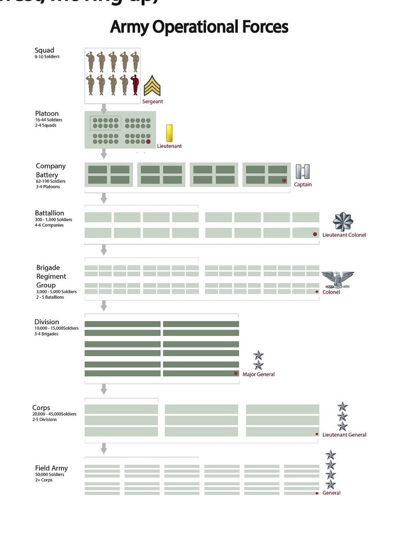 Military Structural Hierarchy Reference Chart Digital File Digital File ...