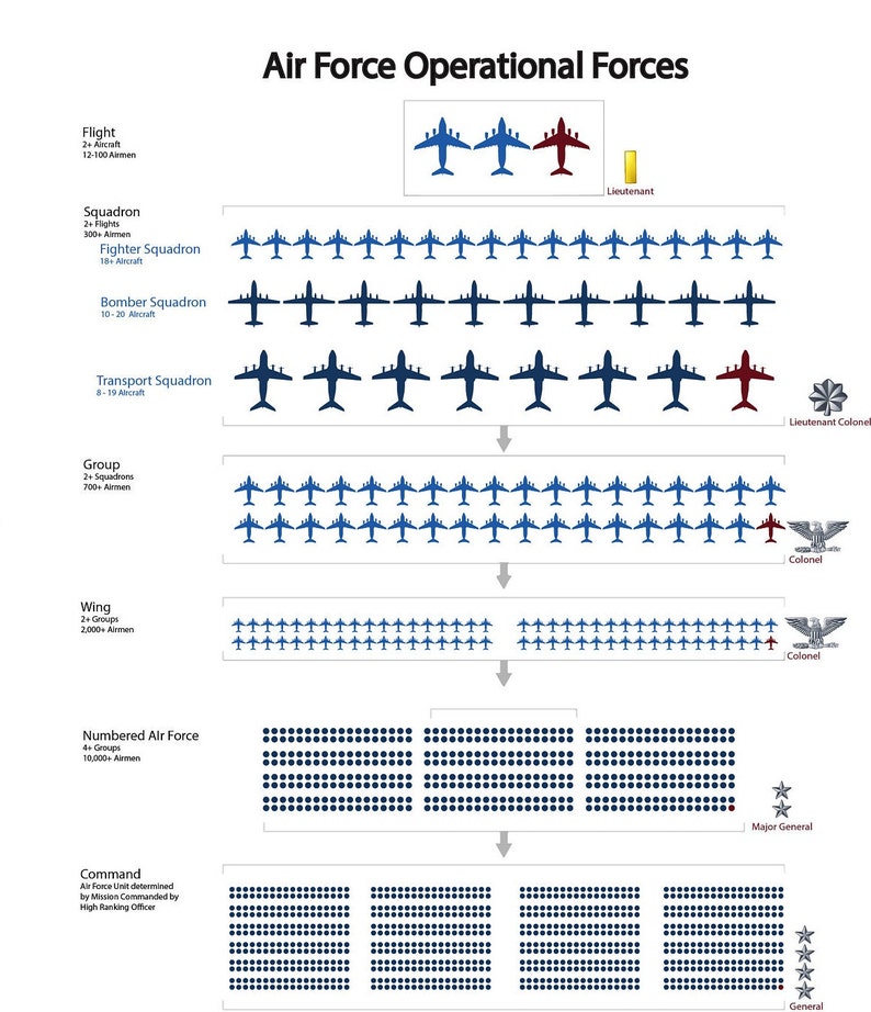 Military Structural Hierarchy Reference Chart Digital File | Etsy