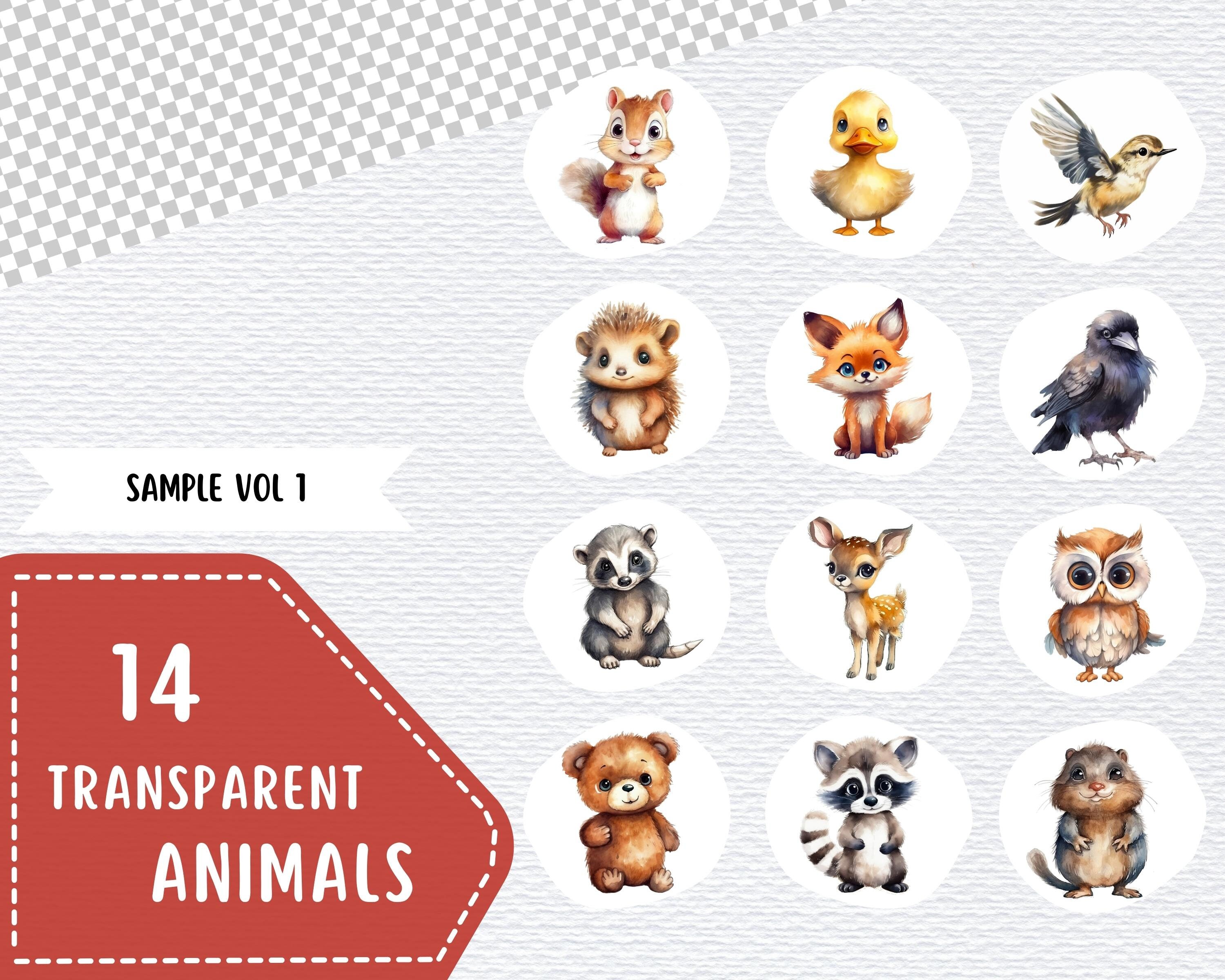 40 Woodland Animals Plants Clipart PNG Forest Animals - Etsy