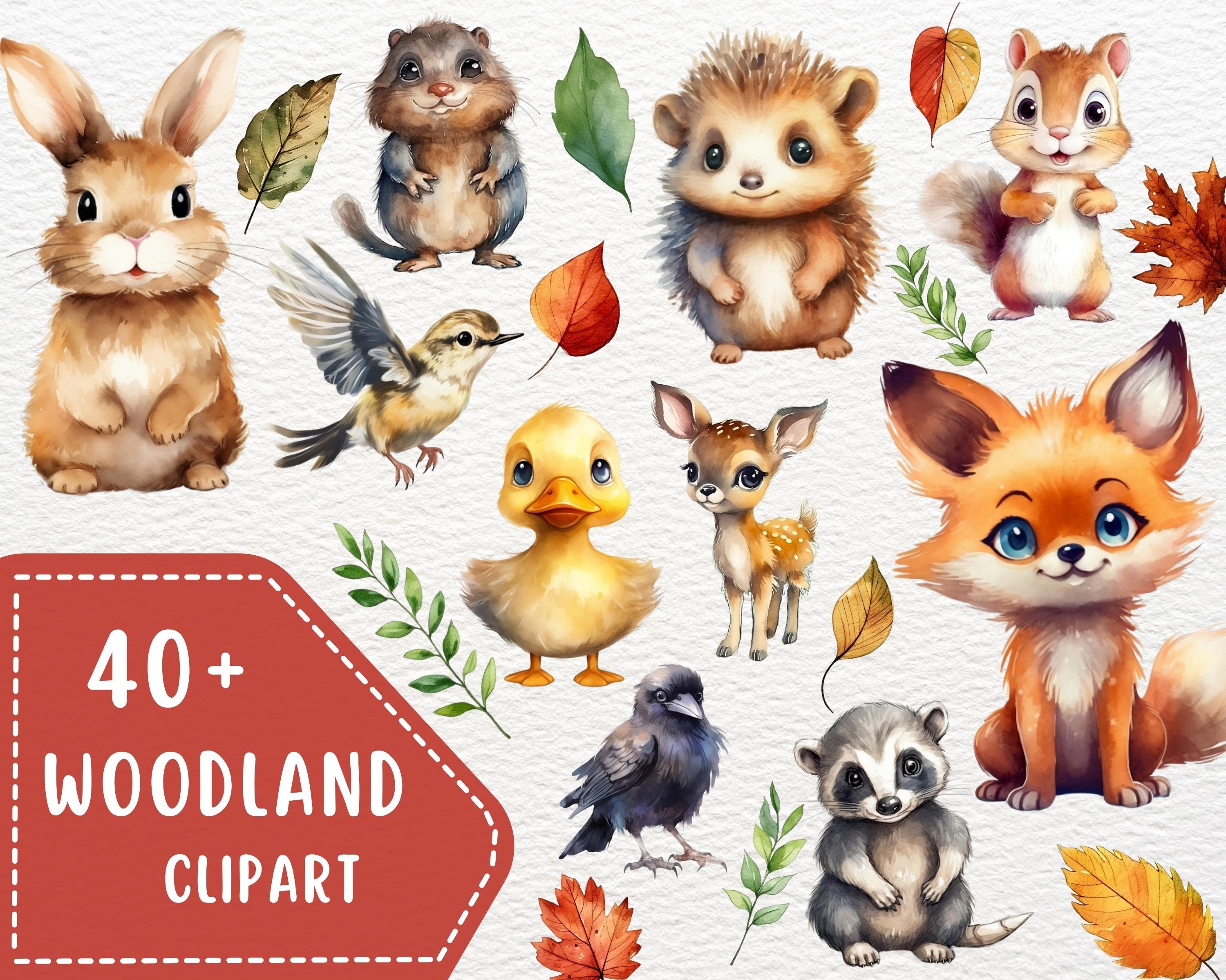 40 Woodland Animals Plants Clipart PNG Forest Animals - Etsy