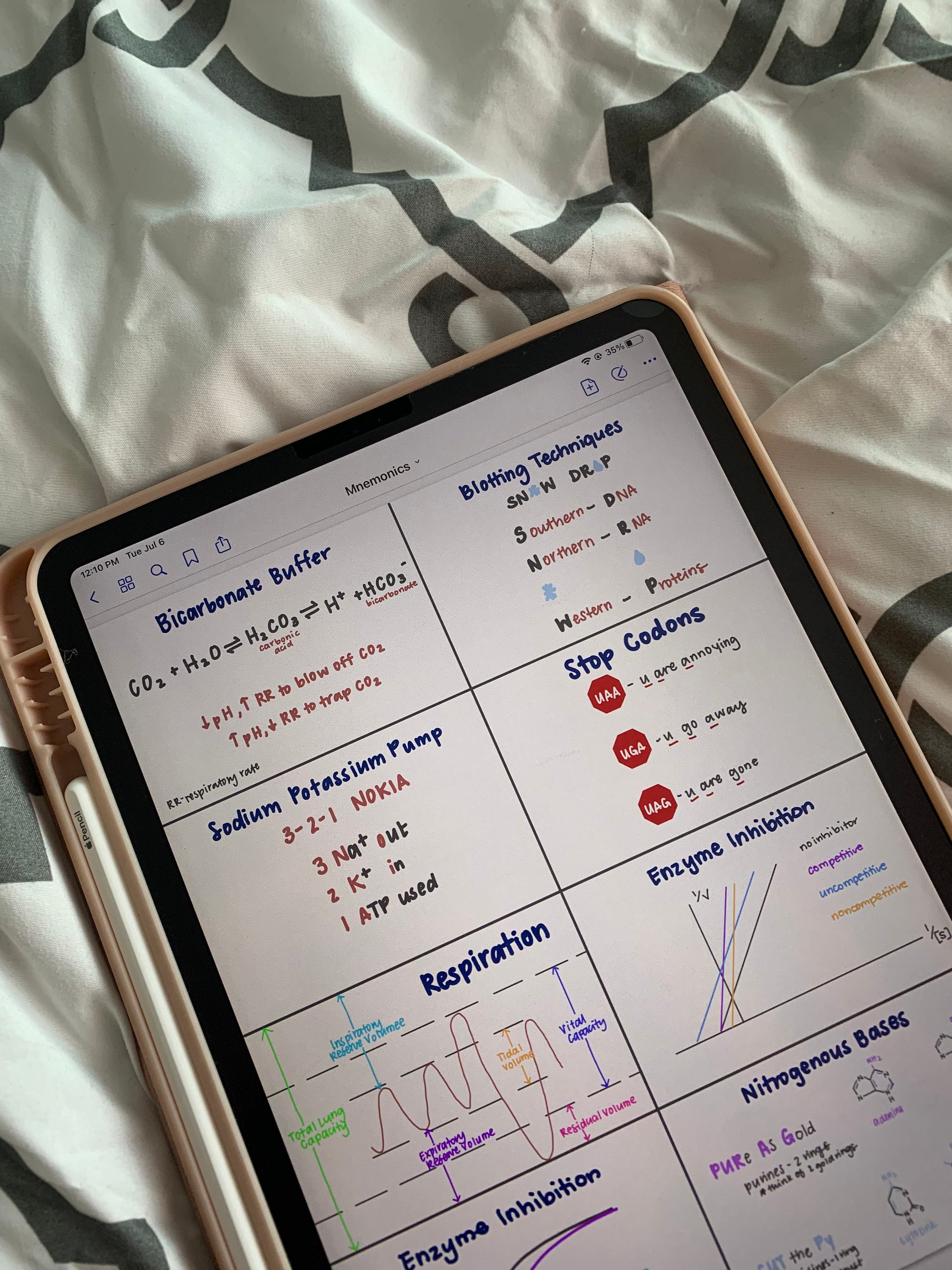 Mcat Notes for sale | Only 4 left at -70%
