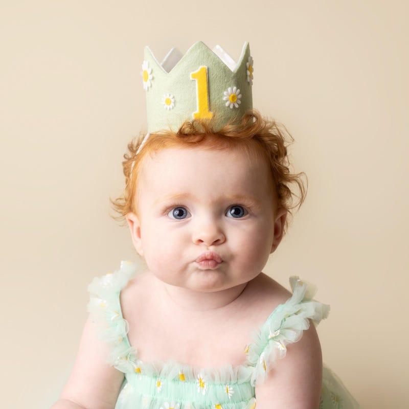 Daisy First Birthday - Etsy