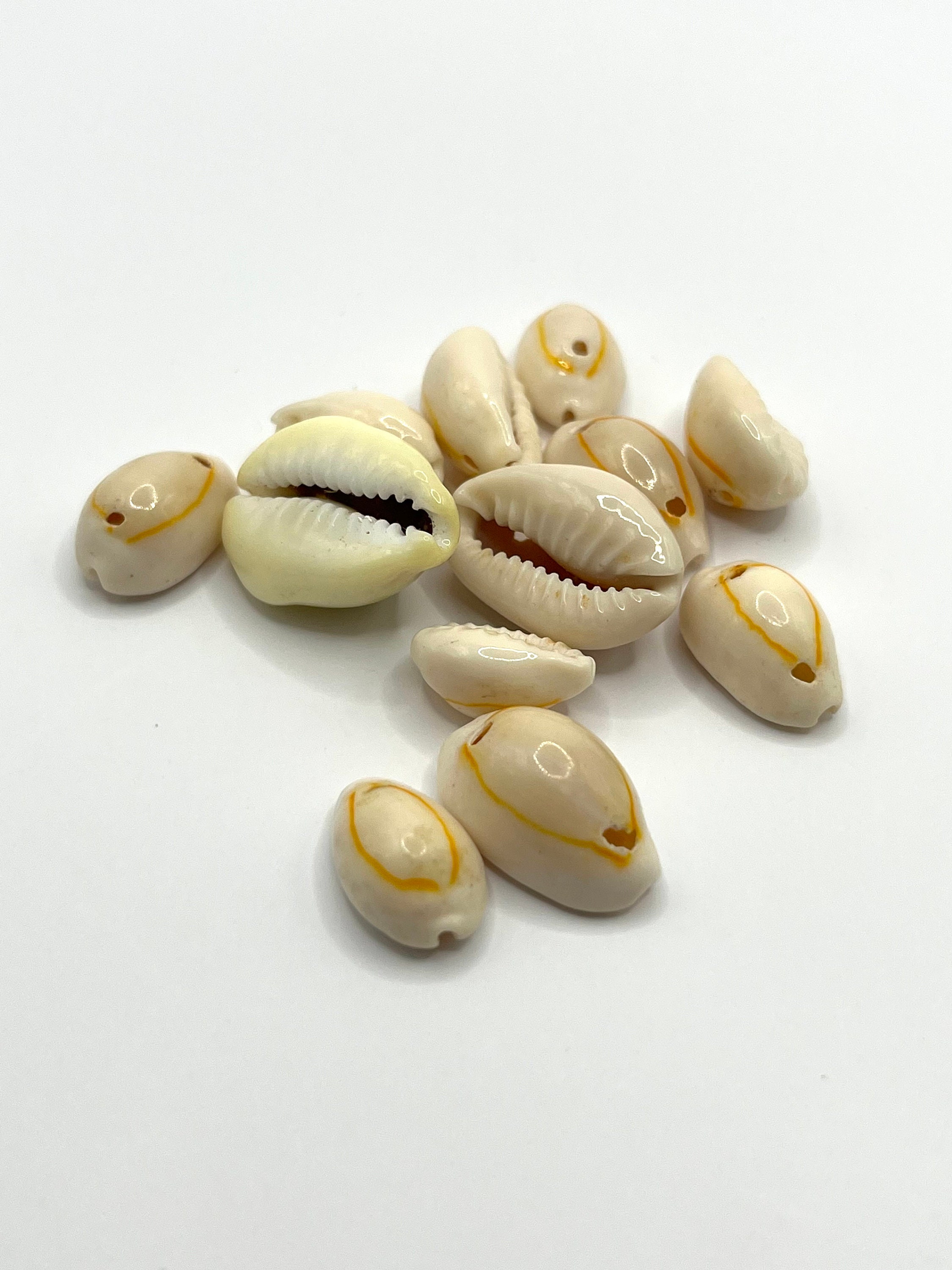 Drilled Cowrie Shell, Loose White Sea Shell Beads With Hole ...