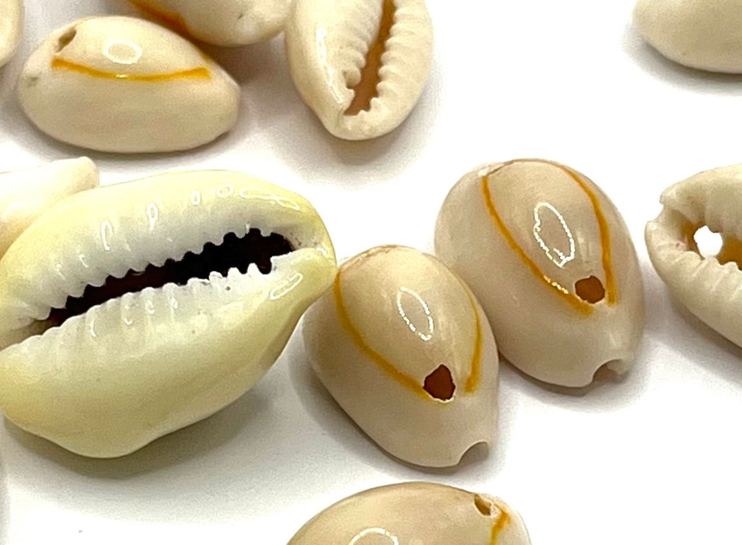 Drilled Cowrie Shell Loose White Sea Shell Beads With Hole - Etsy