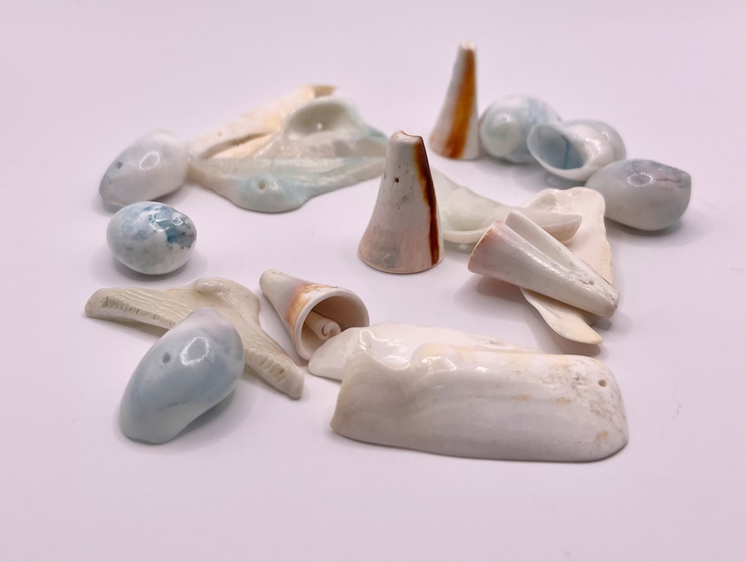 Exquisite Porcelain Ocean Shell Beads Set 18 Pieces - Etsy