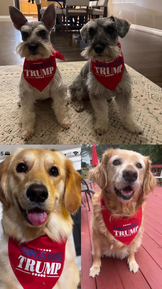 Republican Pet Bandana Etsy Canada