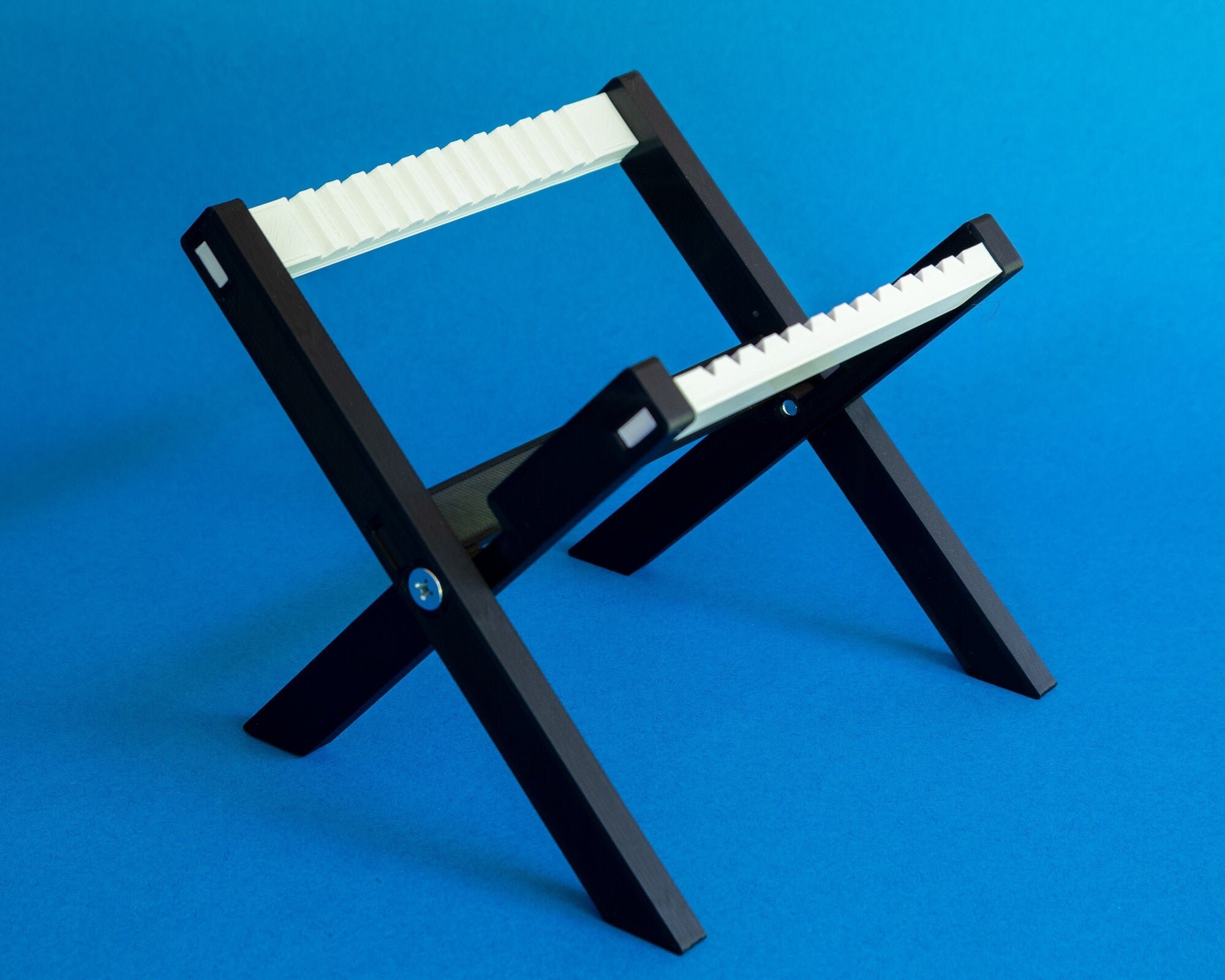 Zebra Rack for 12 Dry Plates / Wet Plates / Tintypes / | Etsy