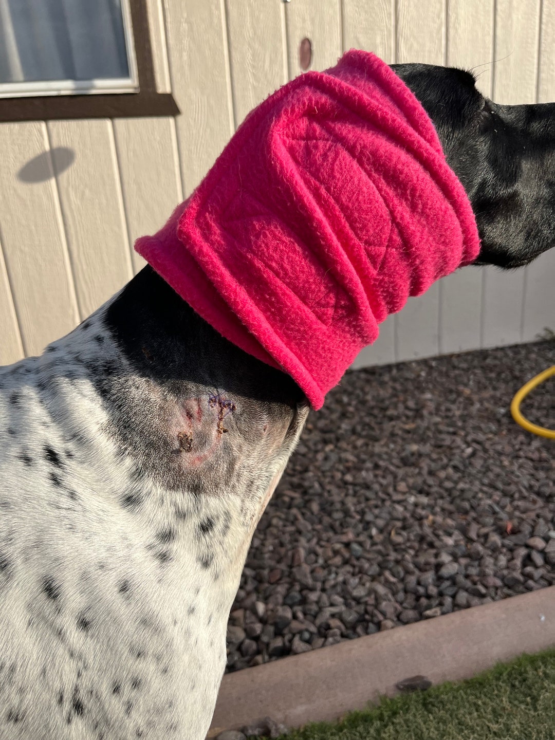 Dog Head/ear Wrap - Etsy