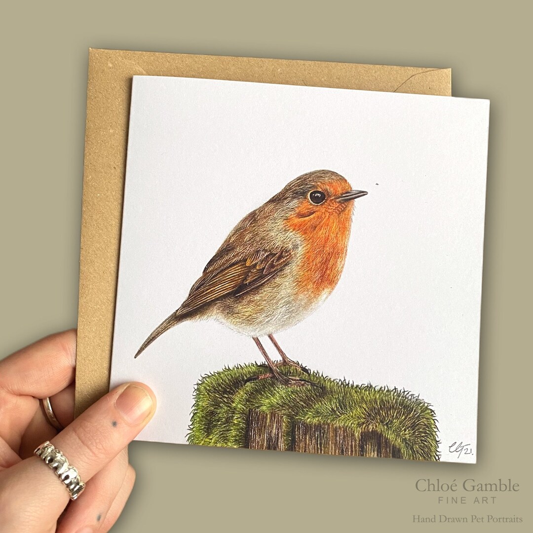 Little Red Robin ~ Limited Edition Blank Greetings Card - Etsy