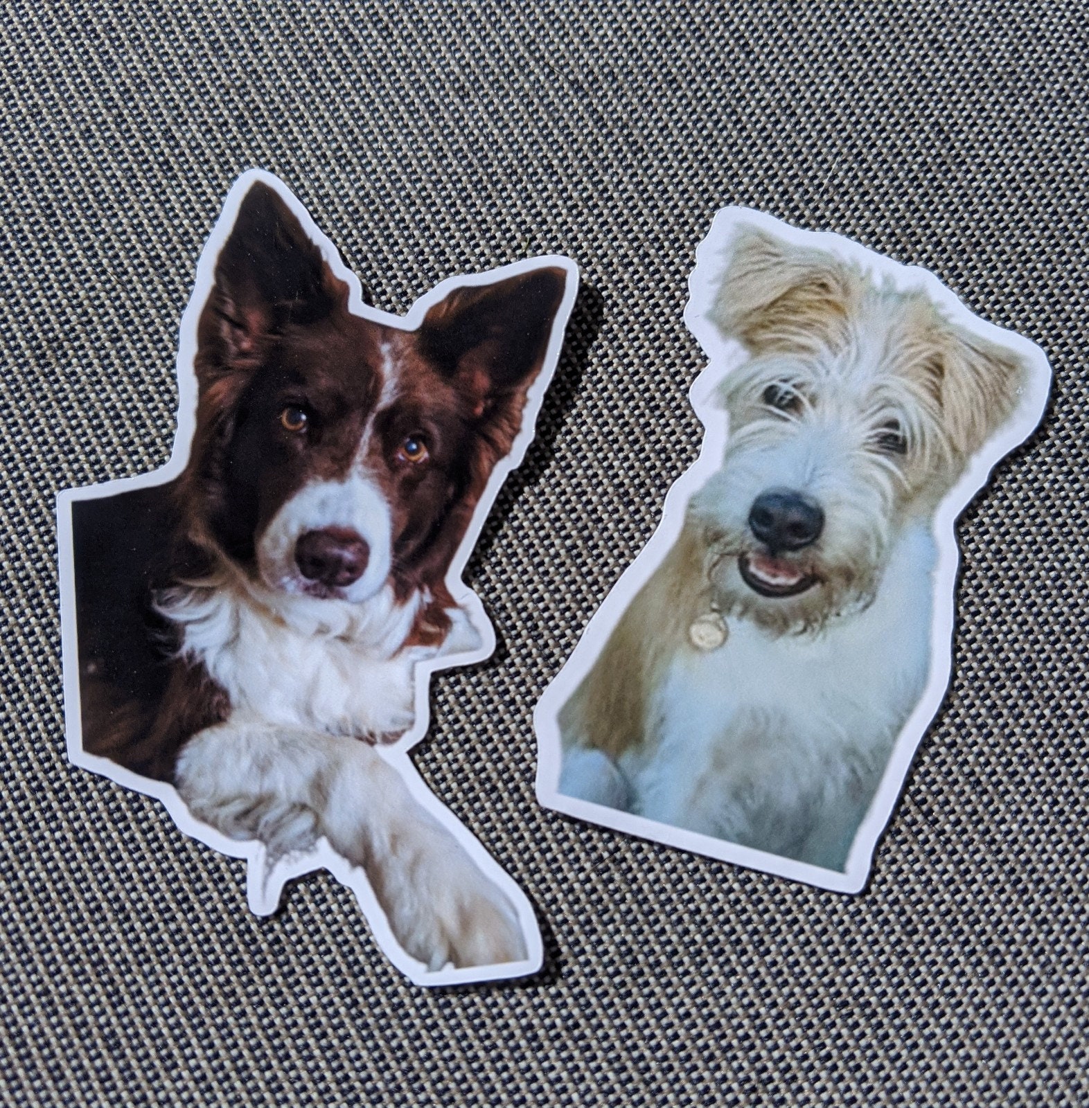 Personalised Vinyl Pet Sticker Waterproof Sticker Custom Pet | Etsy