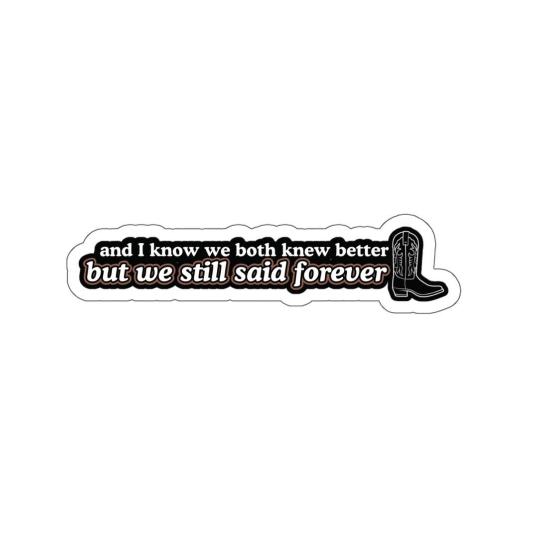 Morgan Wallen Lyric Sticker: Country Music Fan Art Vinyl Decal - Etsy