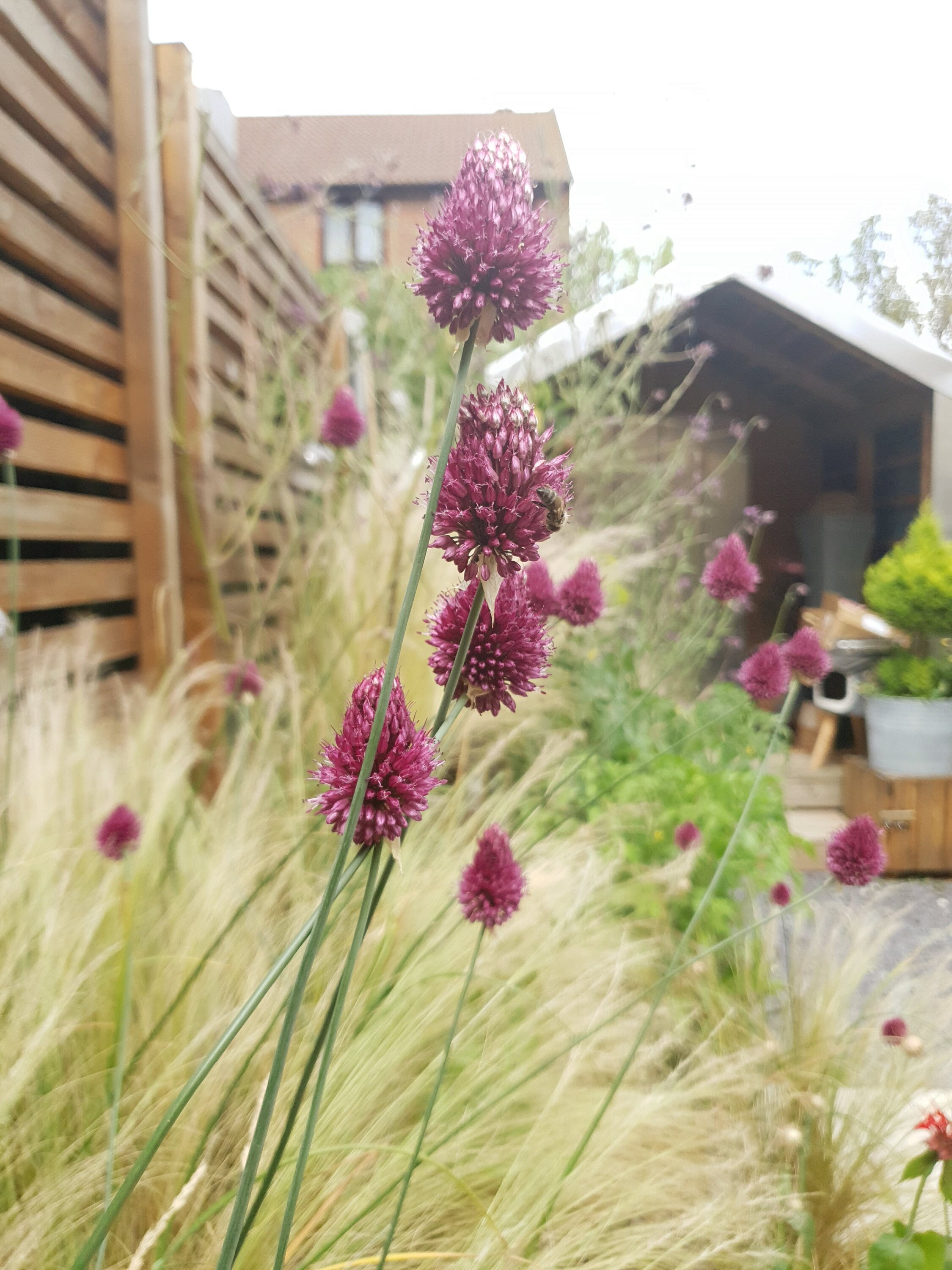 Integrated Garden Design - Etsy