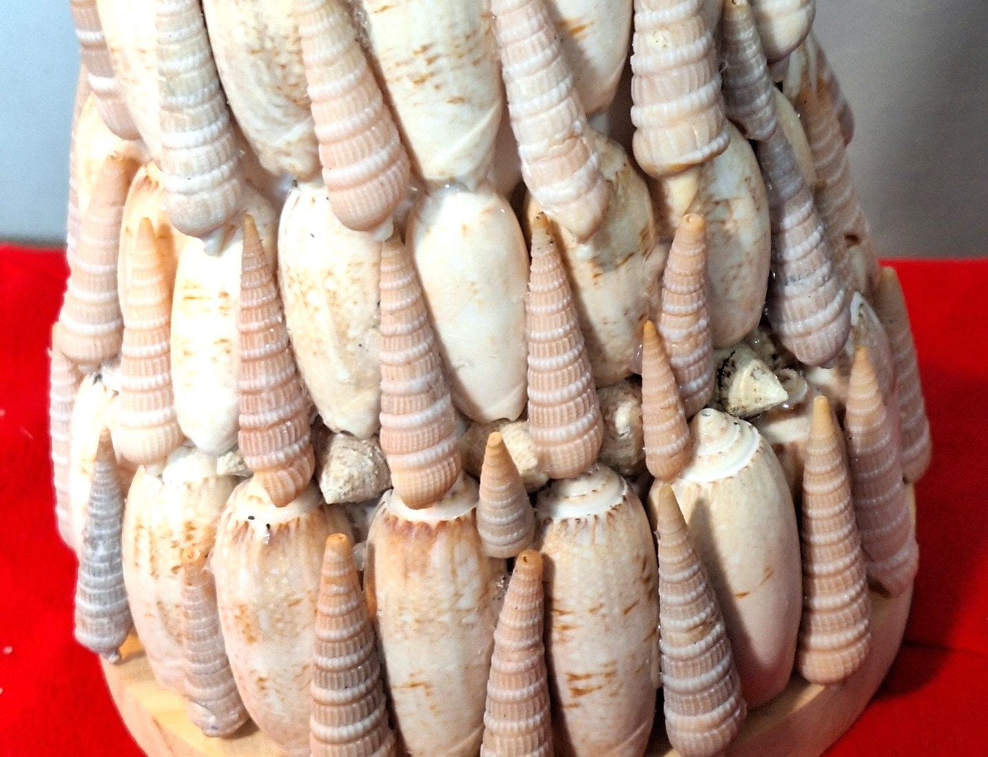 Sea Shell Tree Coastal Decor Olive and Auger Sea Shell Tree - Etsy