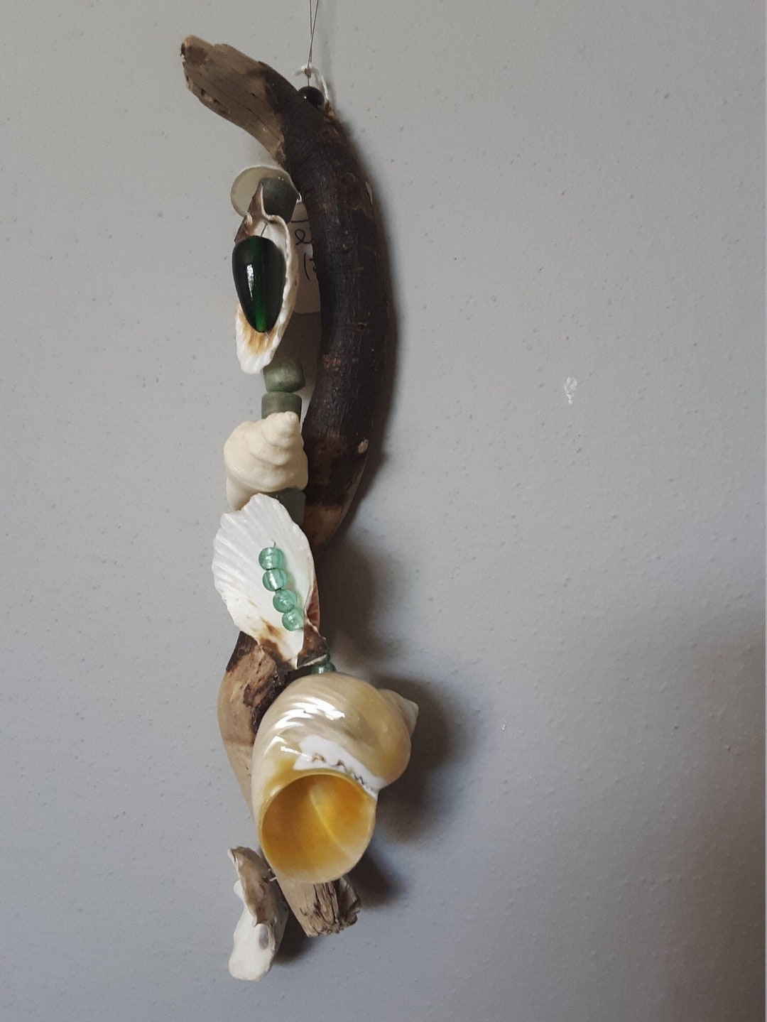 Hanging Seashell Strand- a Simple Driftwood Displays Seashells - Etsy