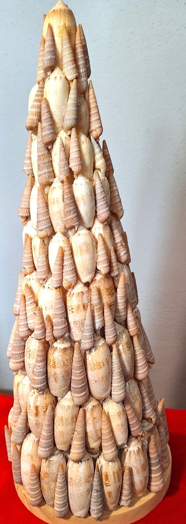 Sea Shell Tree Coastal Decor Olive and Auger Sea Shell Tree - Etsy