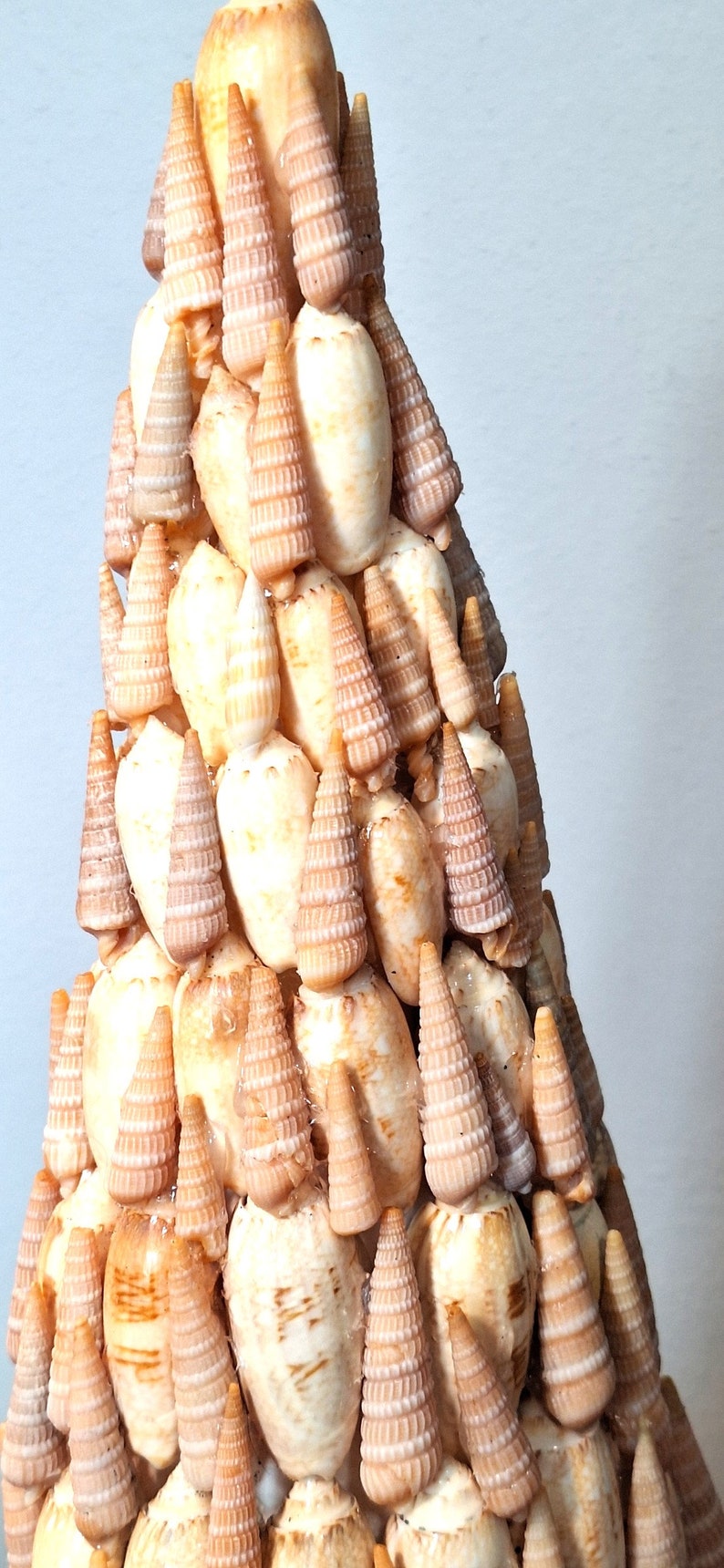 Sea Shell Tree, Coastal Decor Olive and Auger Sea Shell Tree 15 X 6 ...