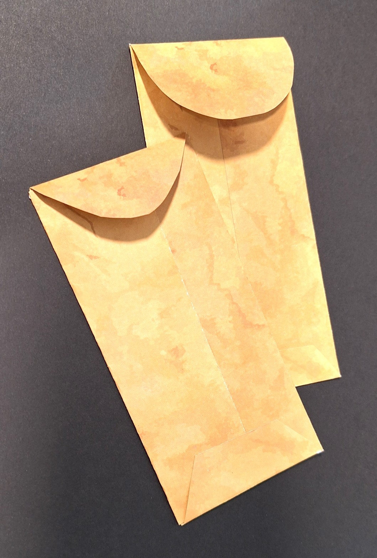Policy Envelopes Set of (2) Coffee Stained for Decorative Purpose ...