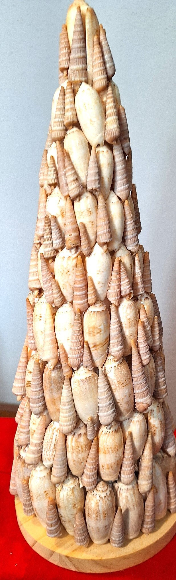 Sea Shell Tree, Coastal Decor Olive and Auger Sea Shell Tree 15 X 6 ...