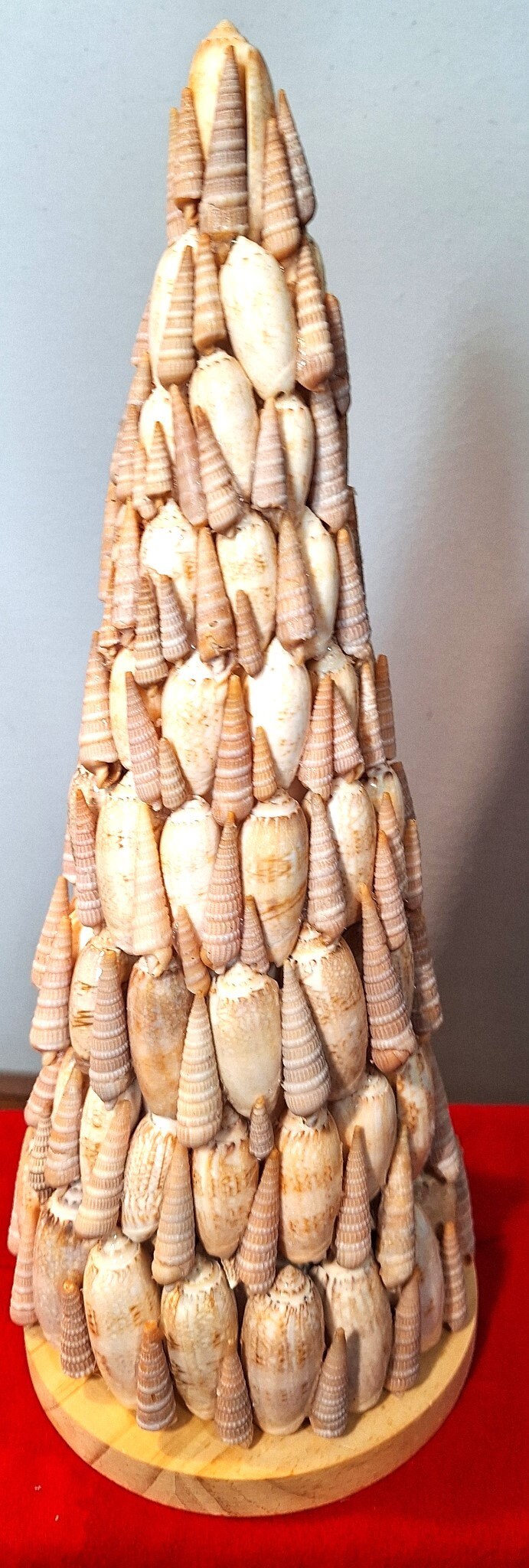Sea Shell Tree, Coastal Decor Olive and Auger Sea Shell Tree 15 X 6 ...