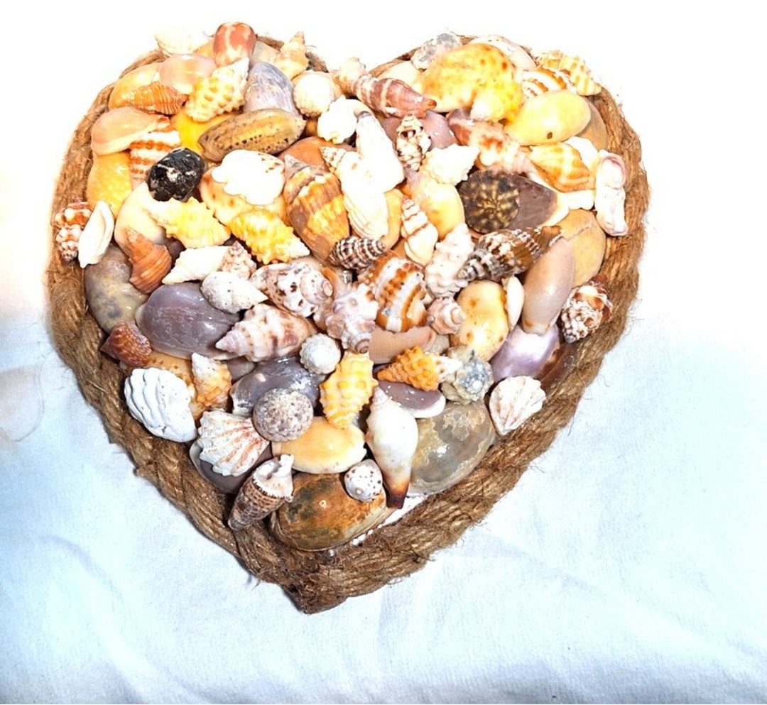 Convex Sea Shell Heart, Coastal Decor, Symbol of Love, Beachy, Coastal ...