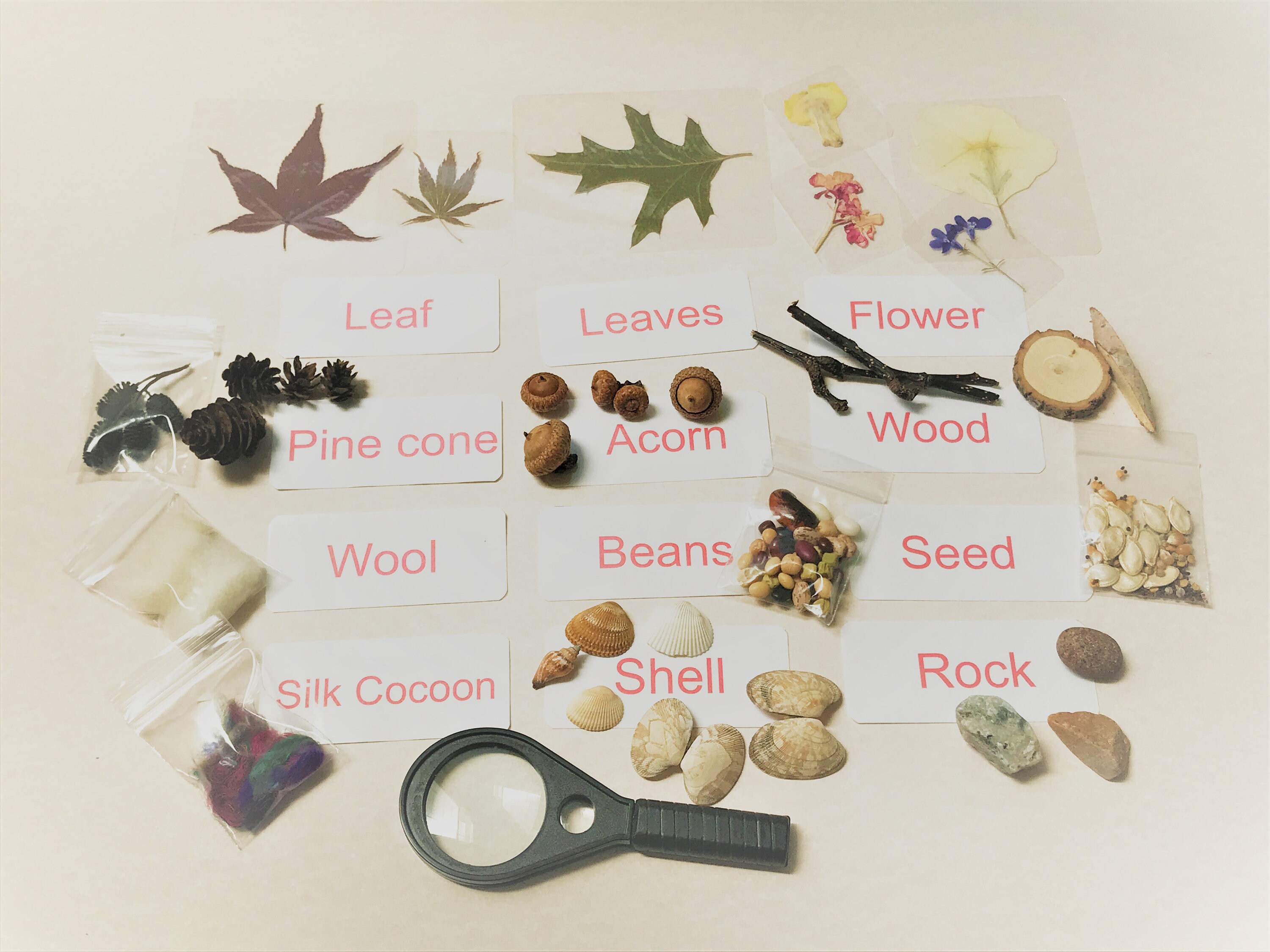 Nature Detective Tray/ Montessori /magnifying Glass / Educational Toy ...