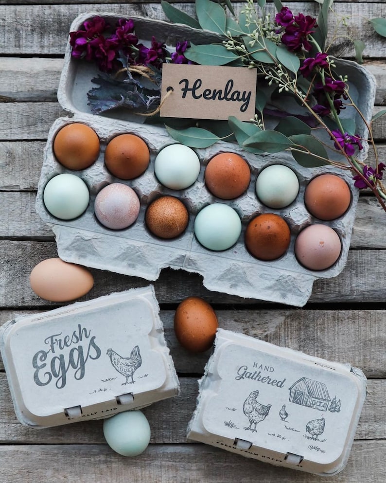 Split-apart Egg Cartons - Vintage Printed Design - Each Carton Can ...