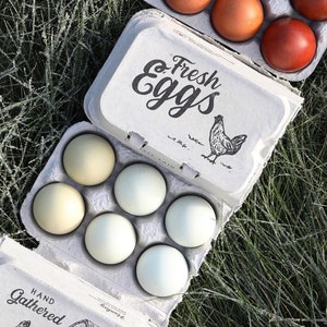 Split-apart Egg Cartons - Vintage Printed Design - Each Carton Can ...