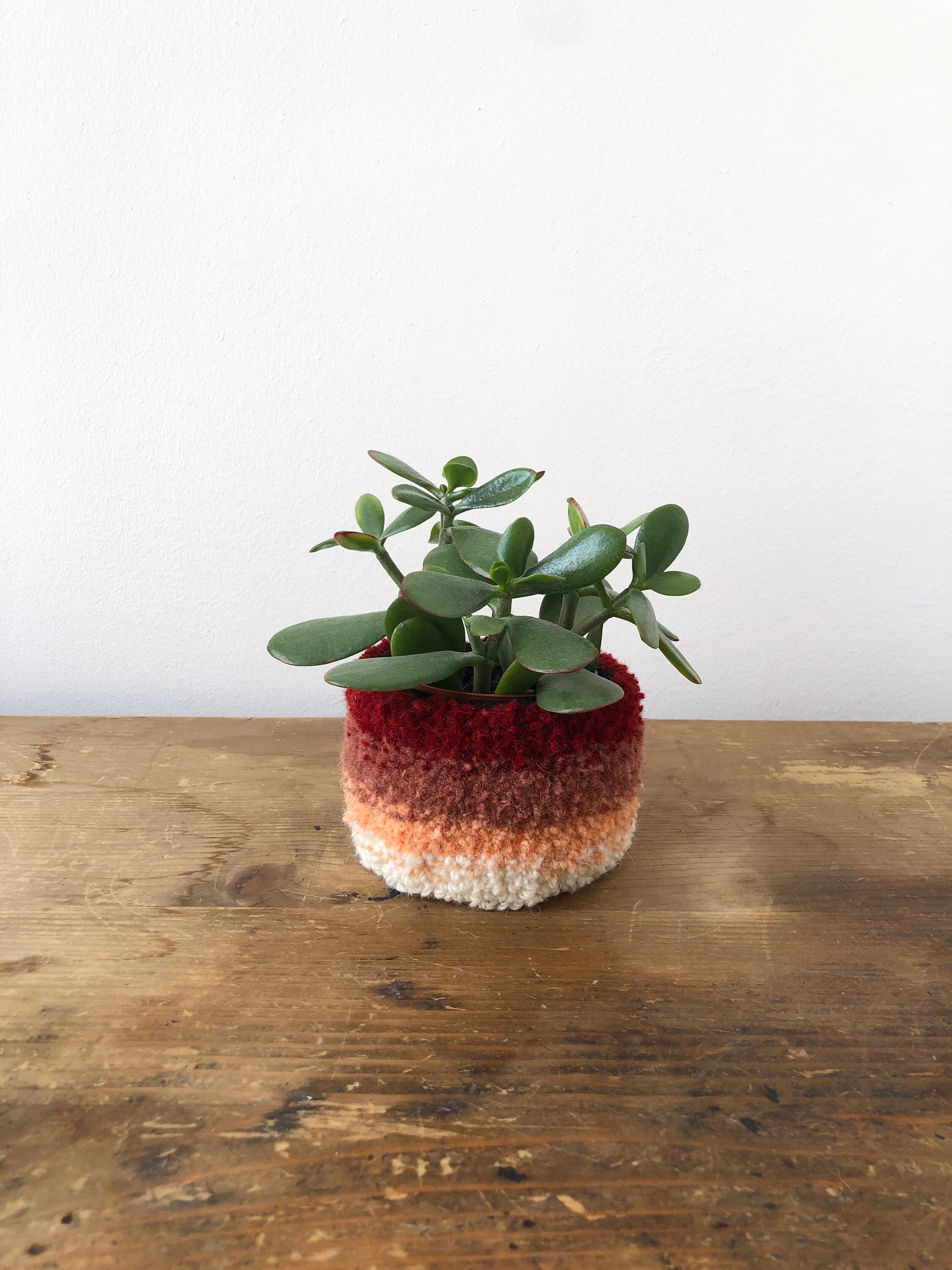 Coral Tufted Plant Pot Pink Gradient extra Small Size - Etsy