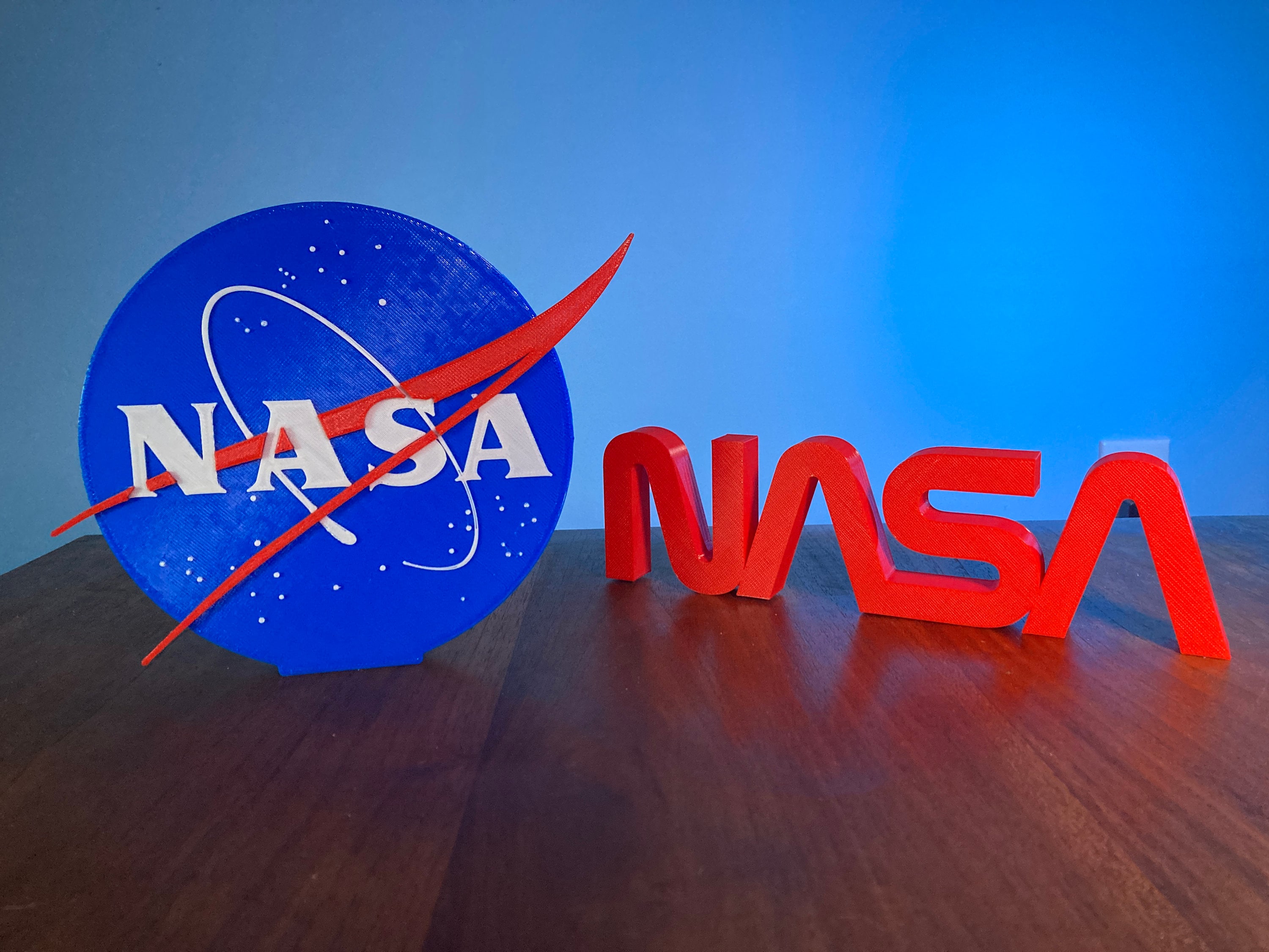 3D Printed NASA Meatball Logo Display Plaque - Etsy