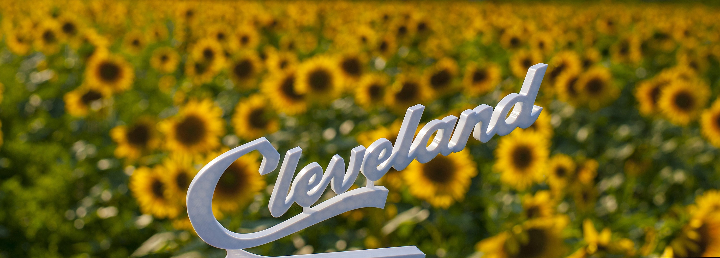 Cleveland Script Sign Office Desk Display Souvenir Gift Ohio - Etsy