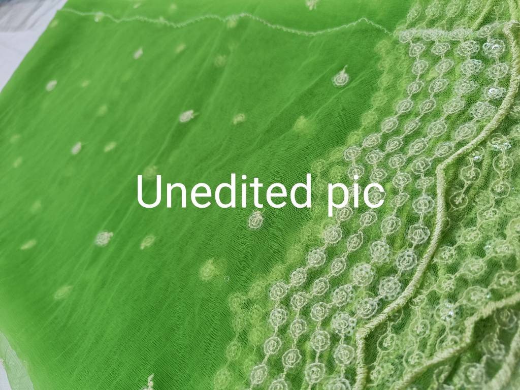 Designer Green Net Dupatta With Silver Sequins & Cutwork Border ...