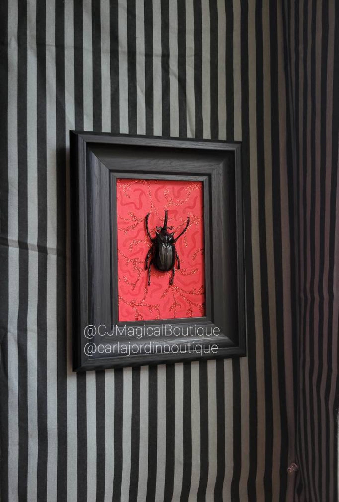 Insect Taxidermy, Beetle Taxidermy, Butterfly Taxidermy, Gothic Decor ...