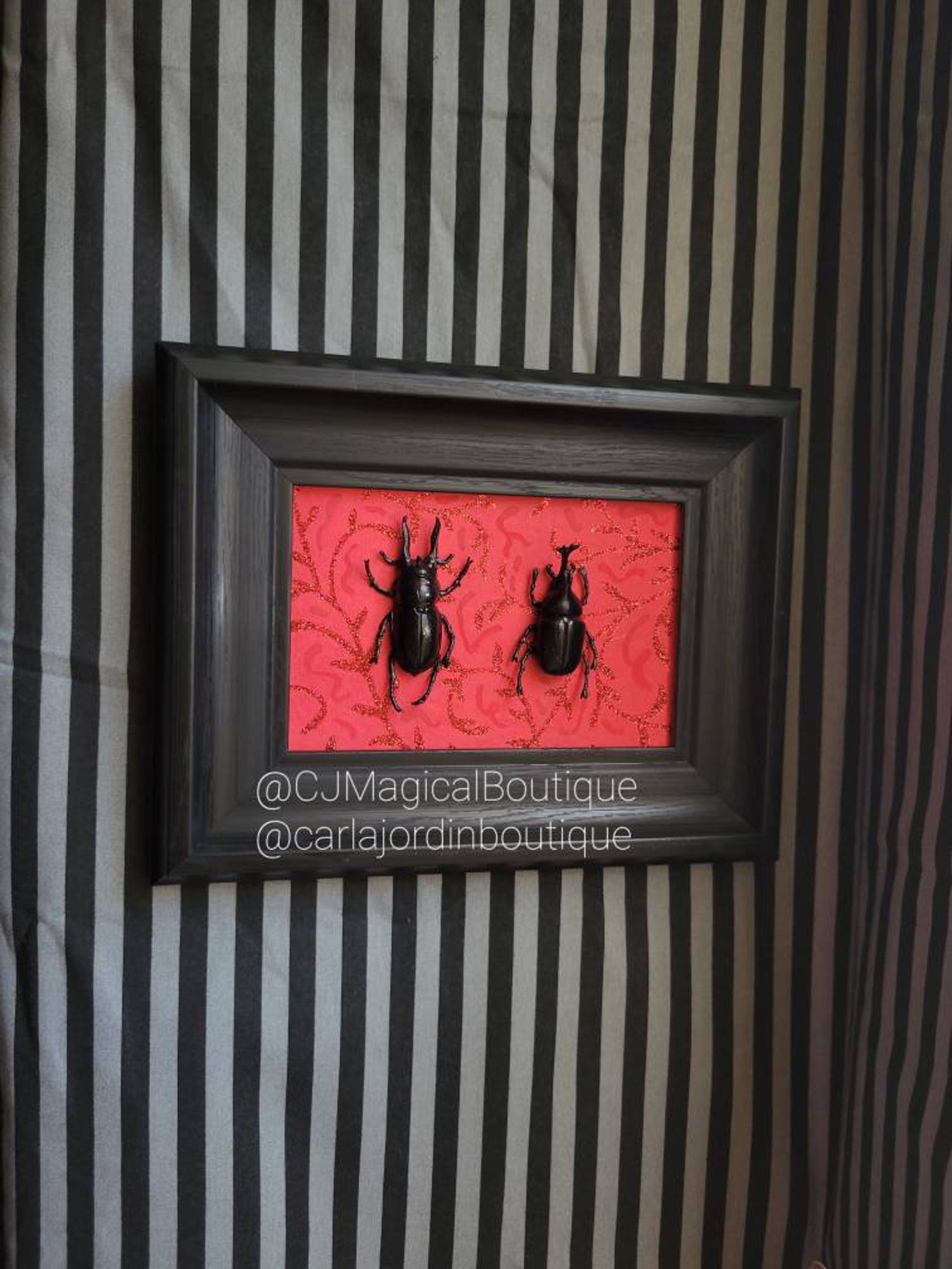 Beetle Taxidermy Insect Taxidermy Gothic Decor Gothic Home - Etsy