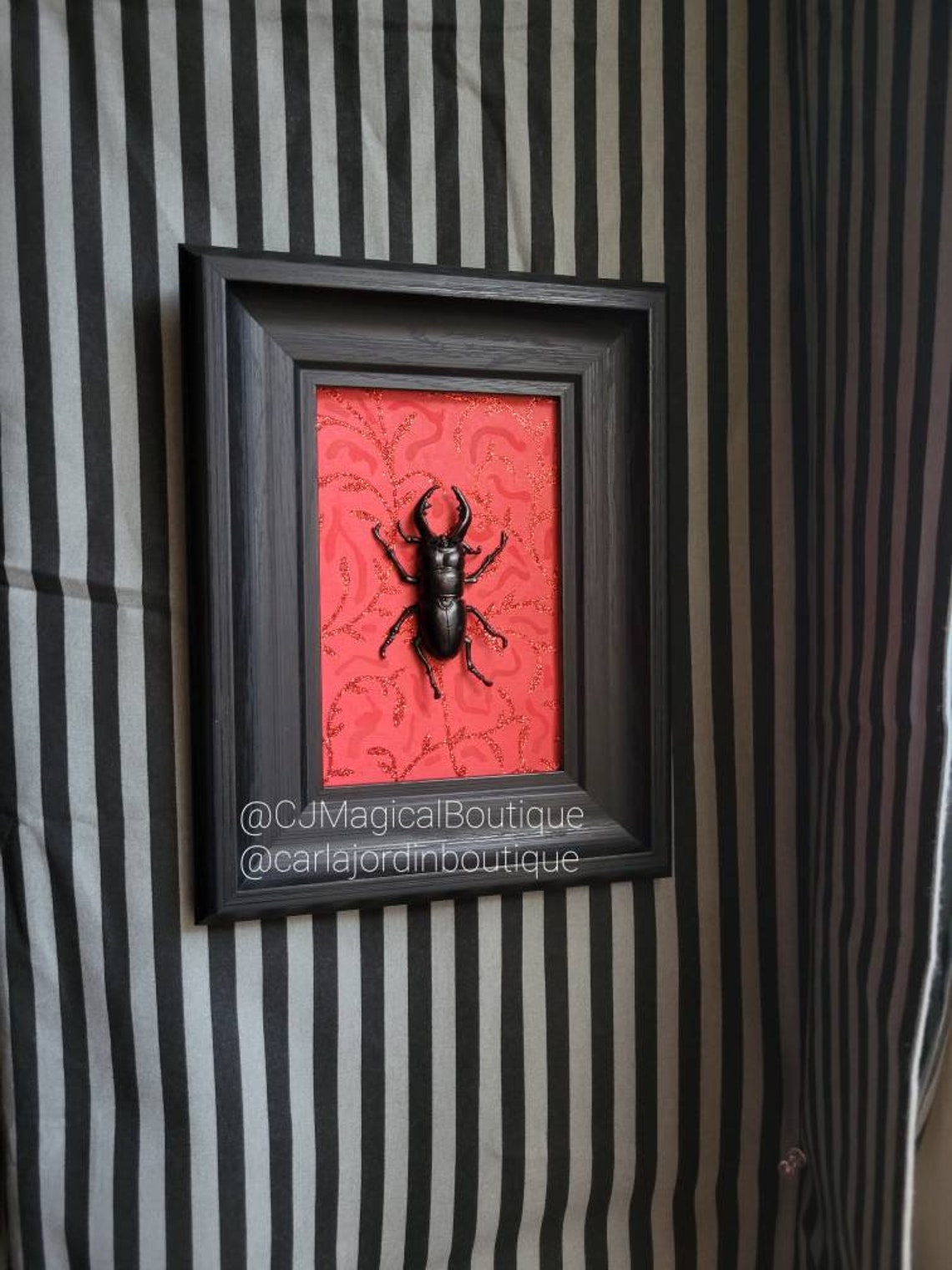 Beetle Taxidermy Insect Taxidermy Gothic Decor Gothic Home - Etsy